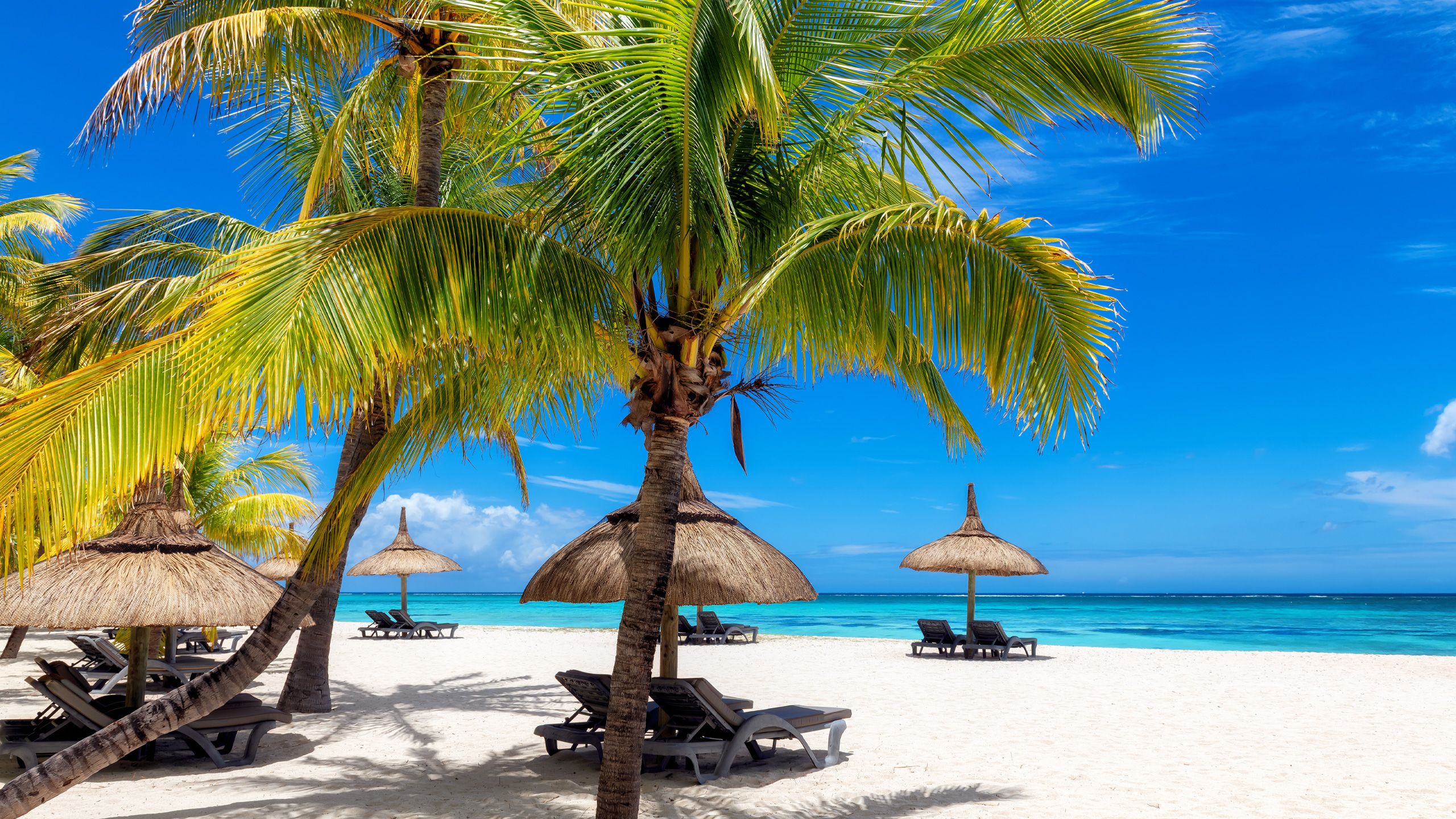 Top 10 Exotic Beach Destinations in Mauritius You Must Visit – Purpose ...
