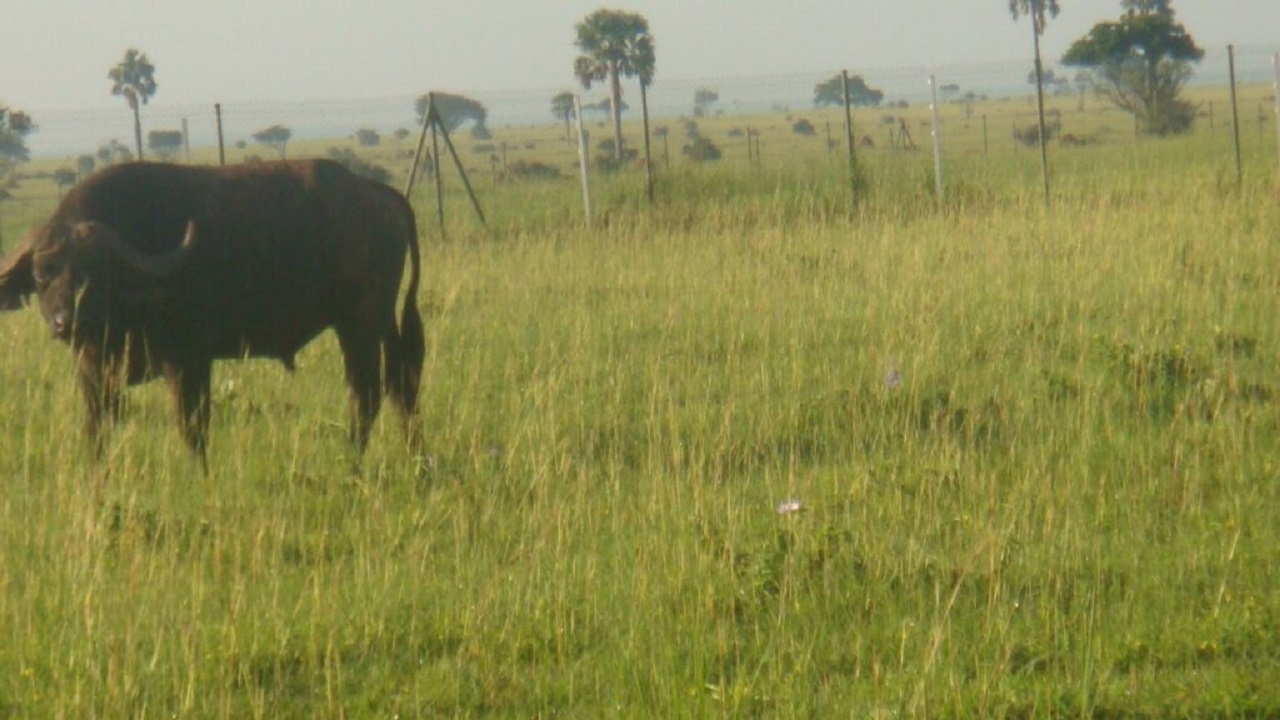 9-day safari to a true African wilderness – Purpose Tours and Travel